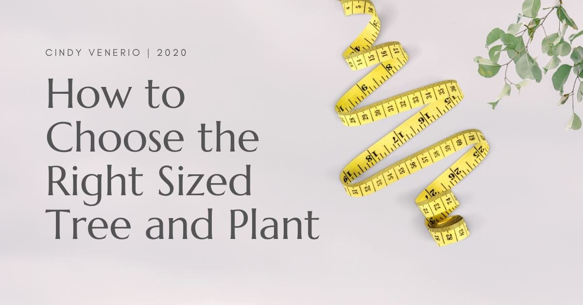 How to Measure for an Artificial Tree or Plant: Size & Style Guide ...