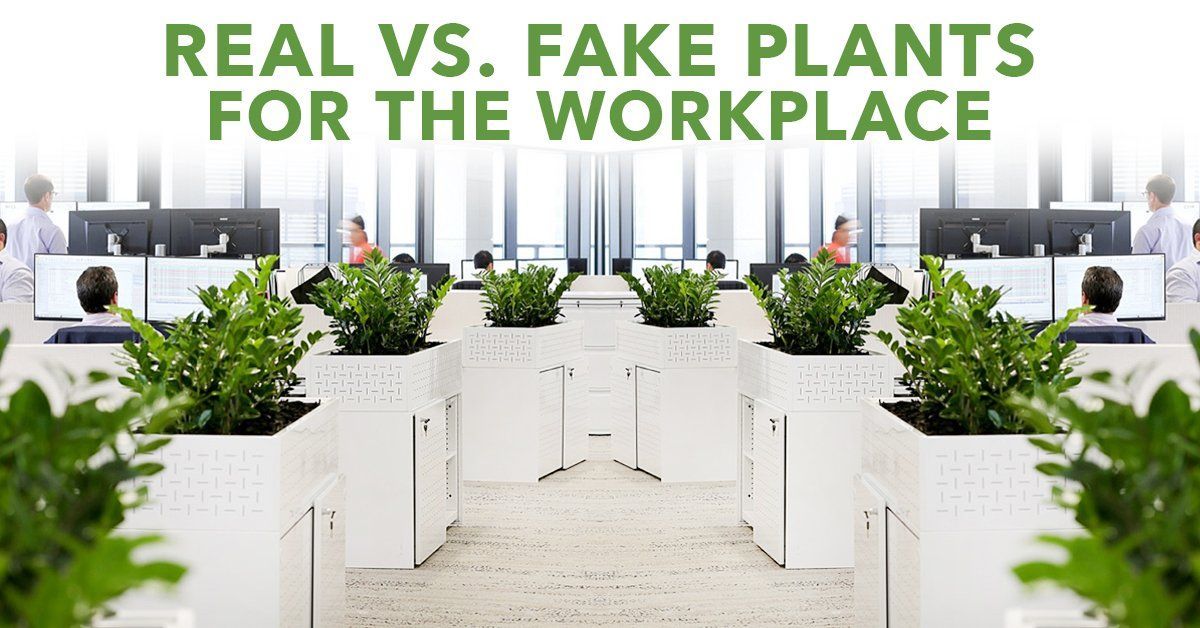 Real vs Fake Plants For The Workplace Nearly Natural