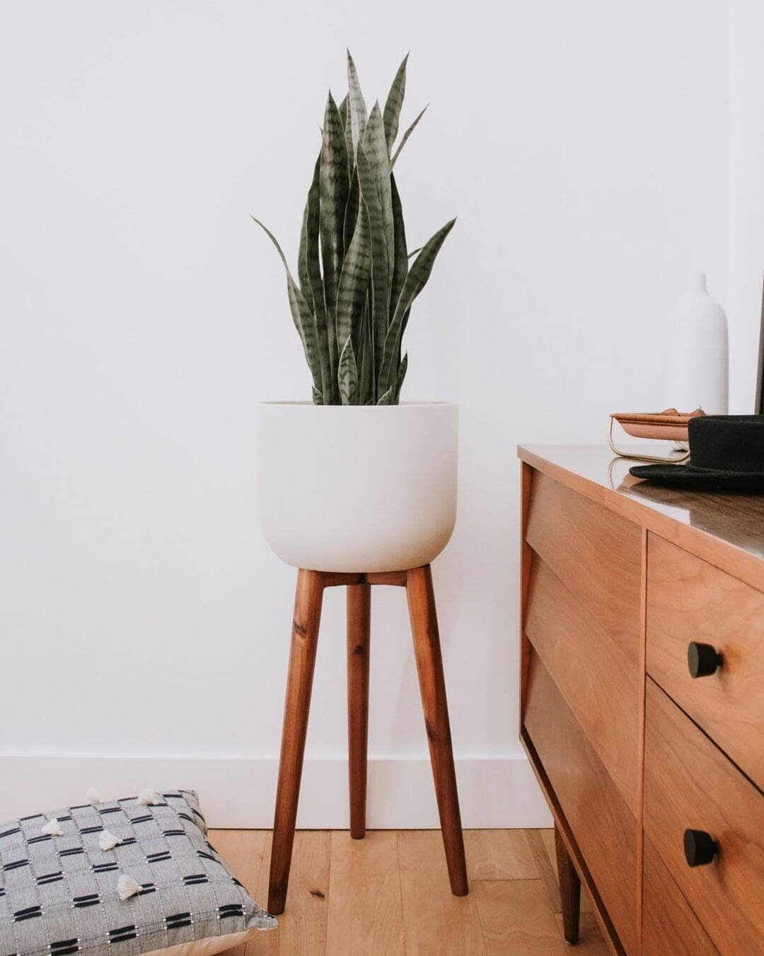 How To Fit a Small Plant in a Big Pot – Nearly Natural