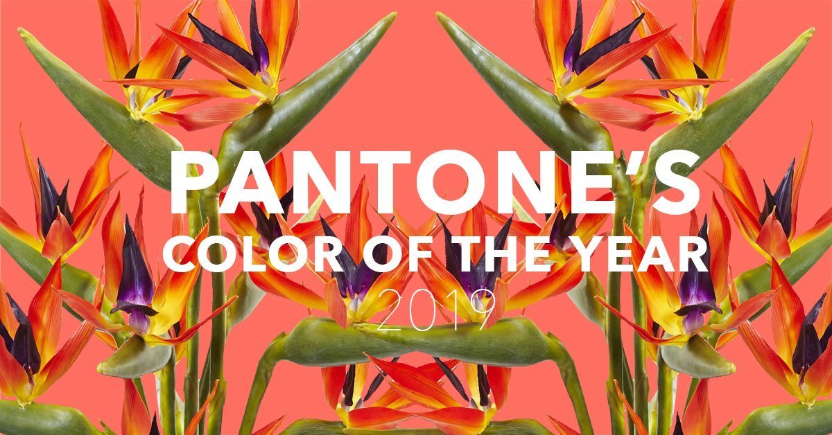 Pantone's Color of the Year – Nearly Natural