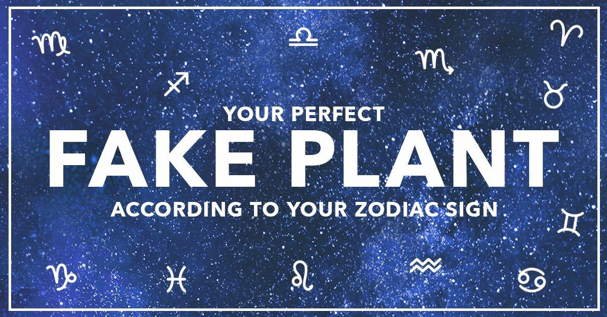 Proof that zodiac signs are fake 60 photos - Youhoroscope.com