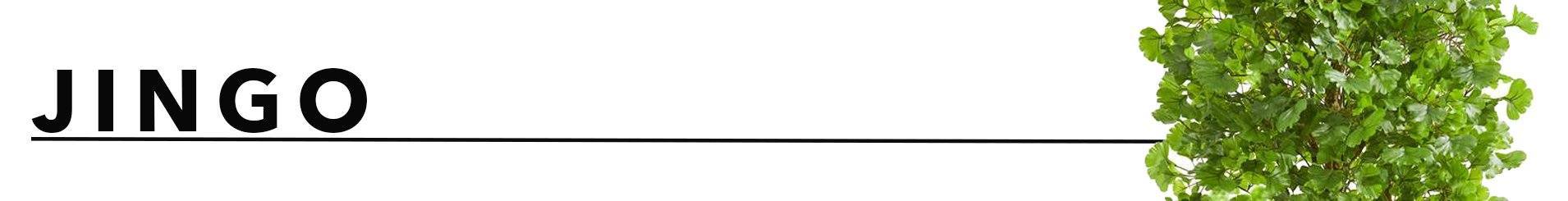 Silk Jingo Trees | Artificial Jingo Trees | Nearly Natural