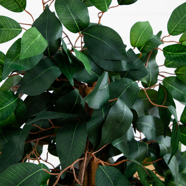 3' Ficus Silk Tree | Nearly Natural