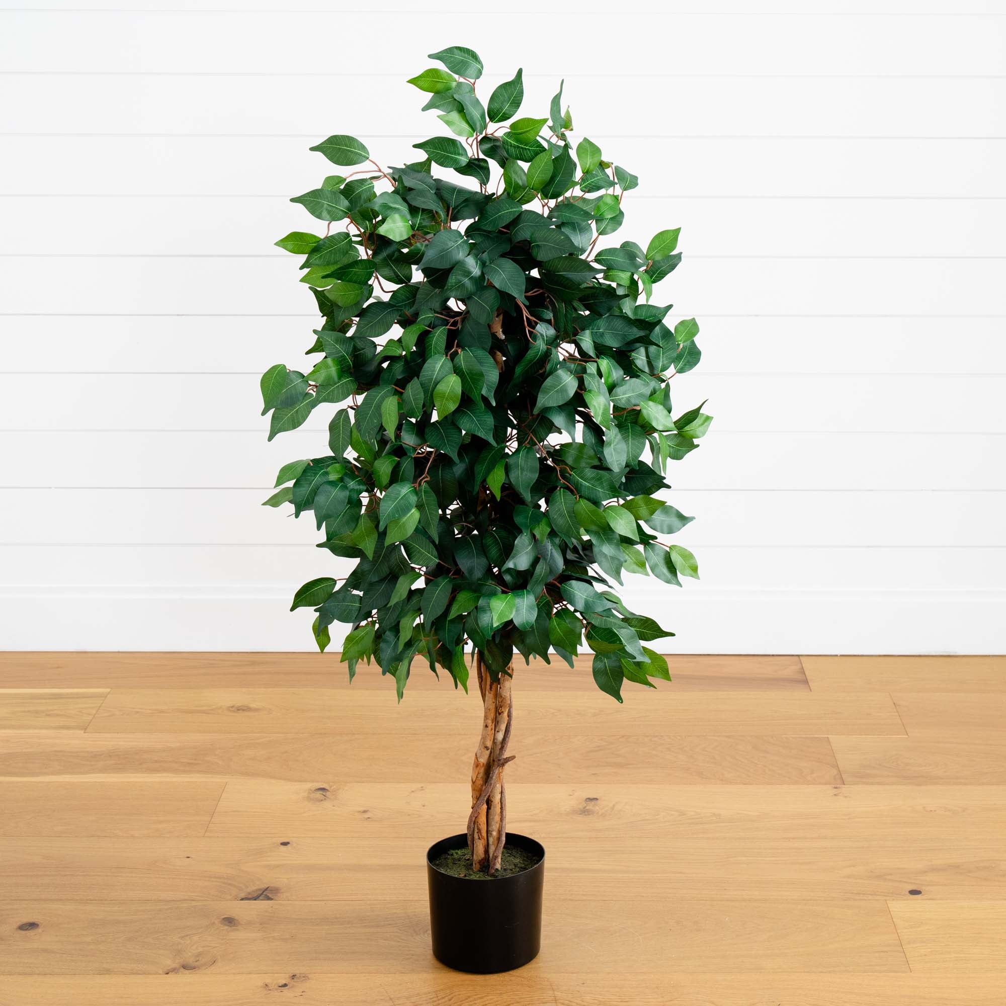 4 Ficus Auriculata Artificial Silk Tree Nearly Natural