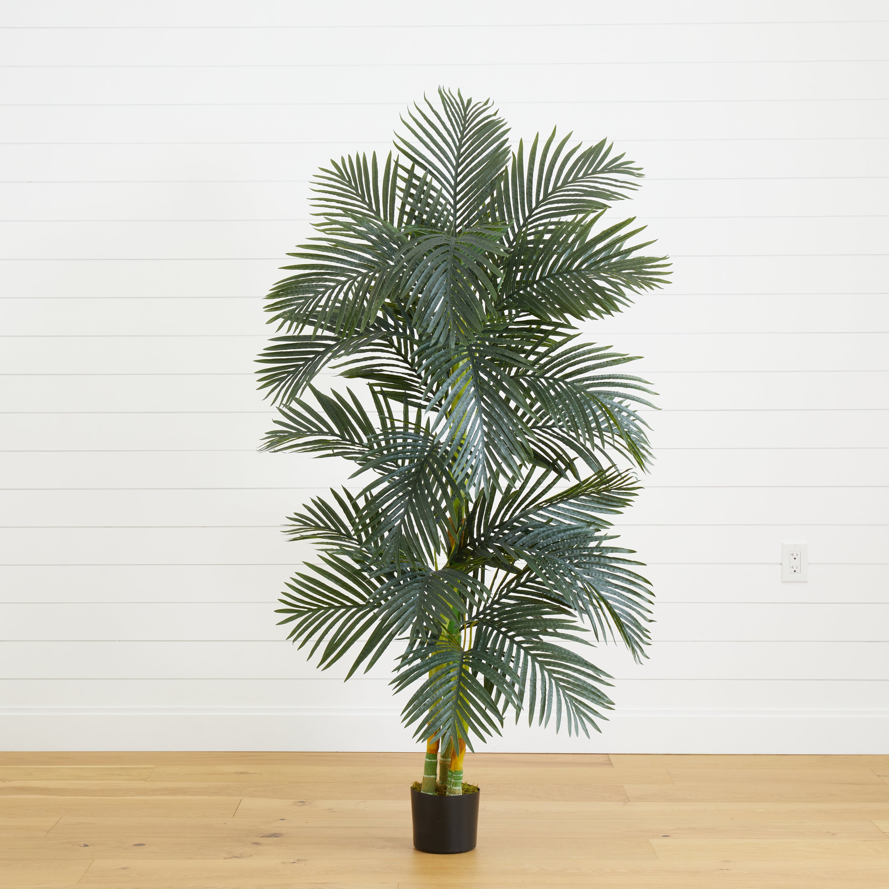 6.5' Golden Cane Artificial Palm Tree | Nearly Natural