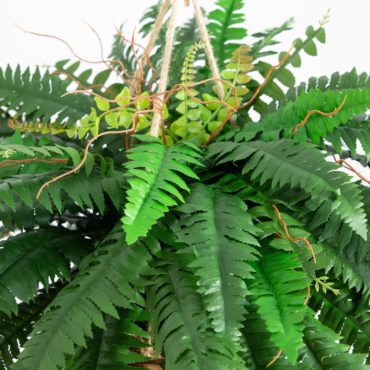 Large Boston Fern Hanging Basket | Nearly Natural