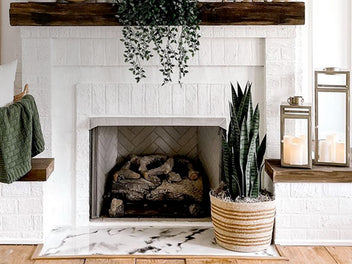 Tabletop Plants – Nearly Natural