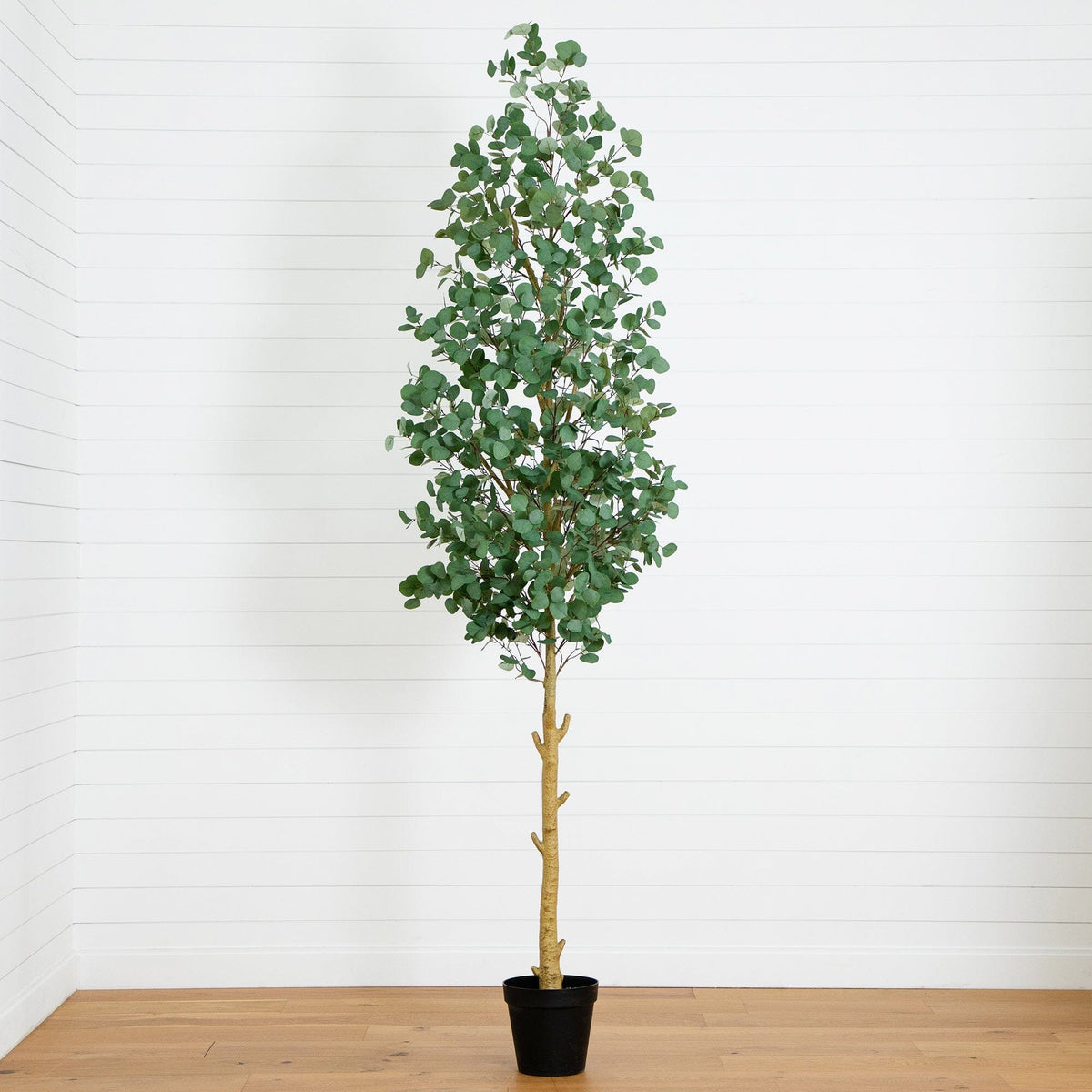 Artificial Eucalyptus Trees | Faux Eucalyptus Trees – Nearly Natural