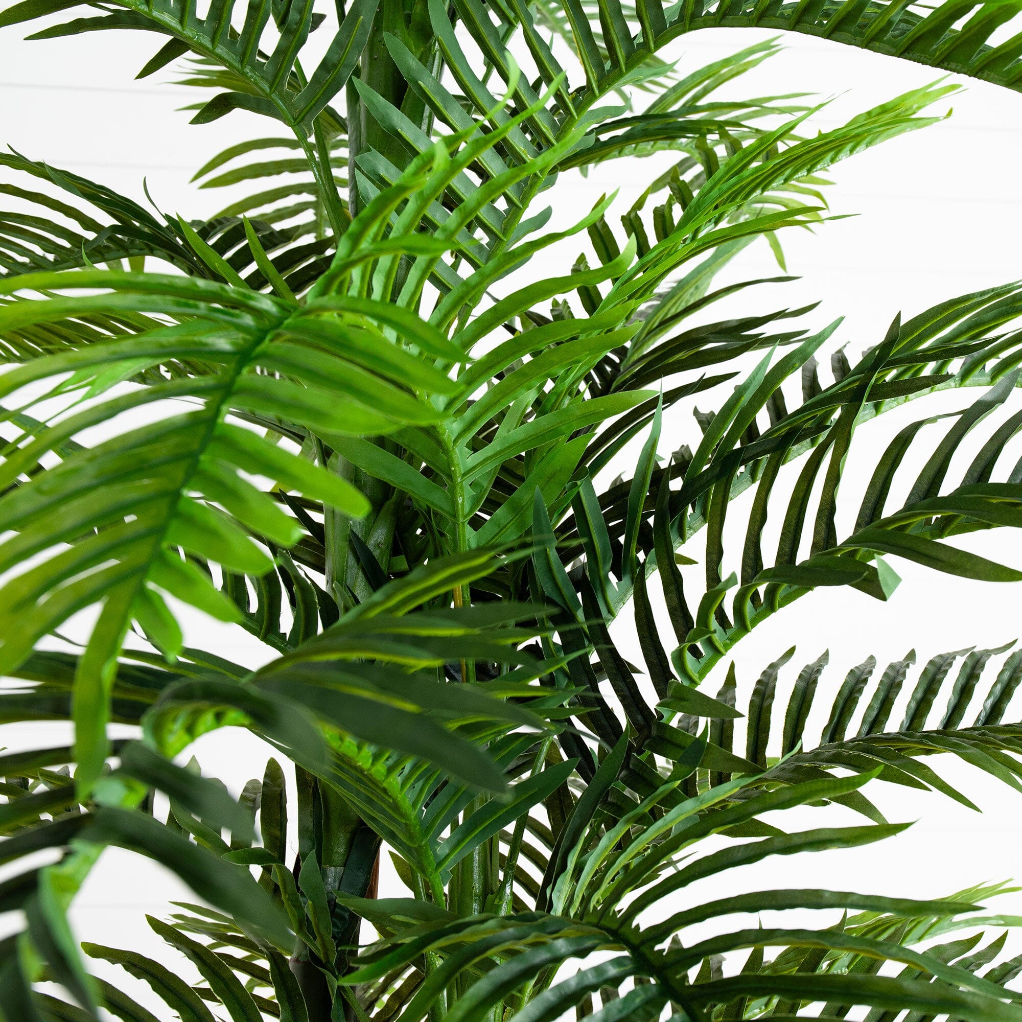 10’ UV Resistant Artificial Double Robellini Palm Tree (Indoor/Outdoor ...