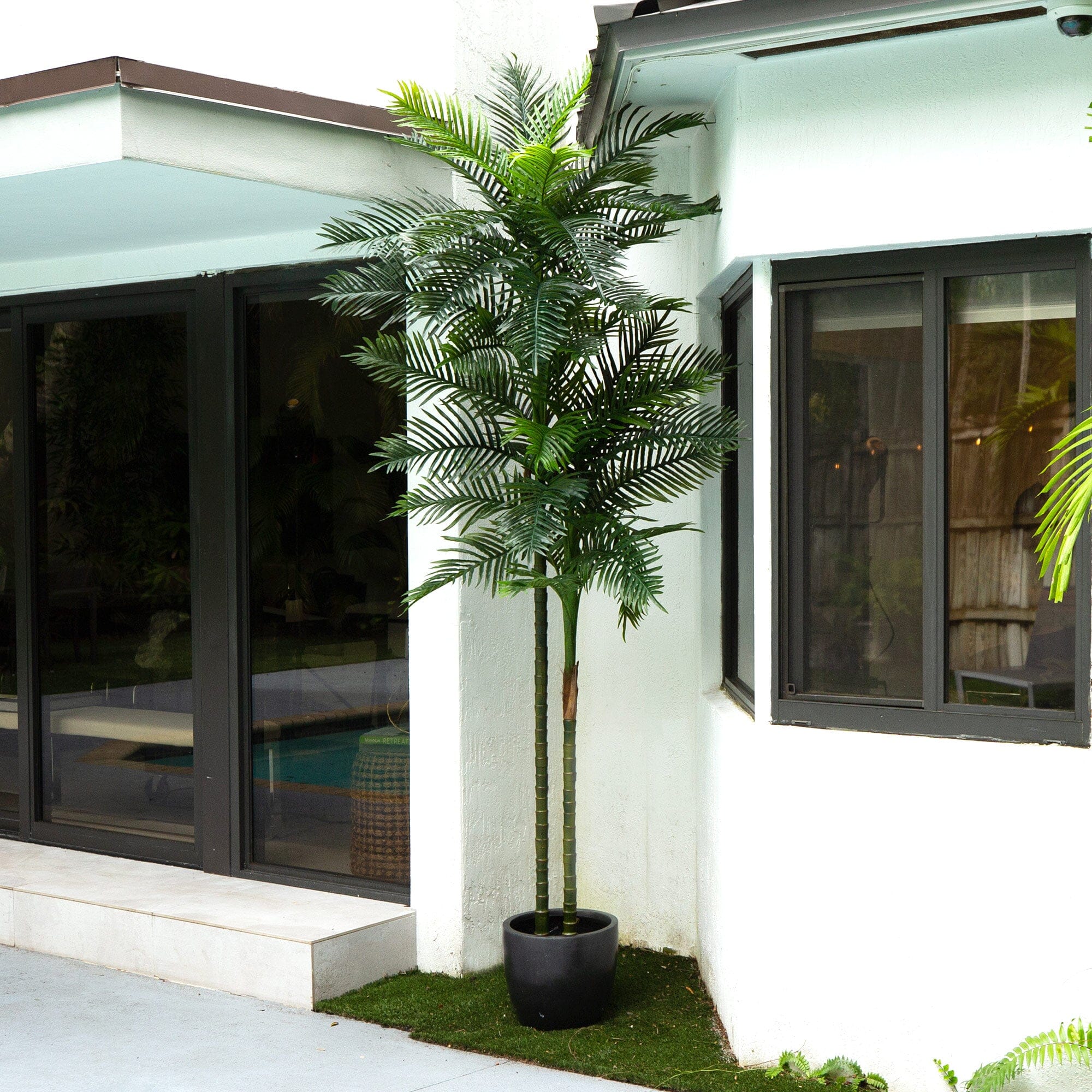 10’ UV Resistant Artificial Double Robellini Palm Tree (Indoor/Outdoor ...