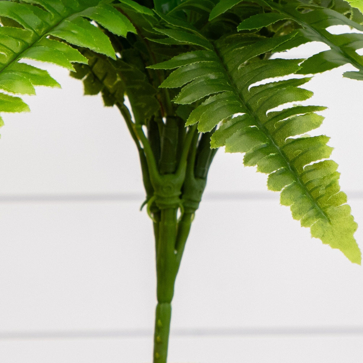 Outdoor Safe Ferns – Nearly Natural
