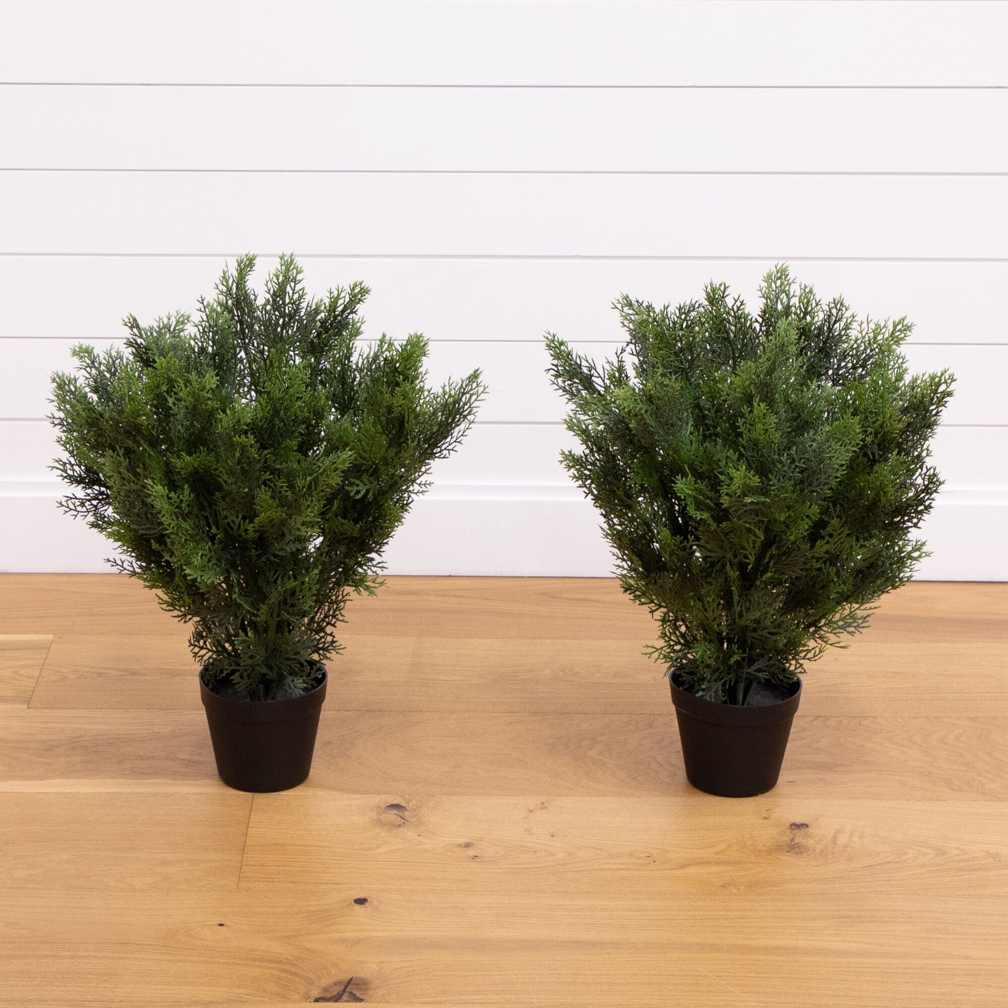 2’ Artificial Cedar Bush (Indoor/Outdoor) - Set of 2 – Nearly Natural
