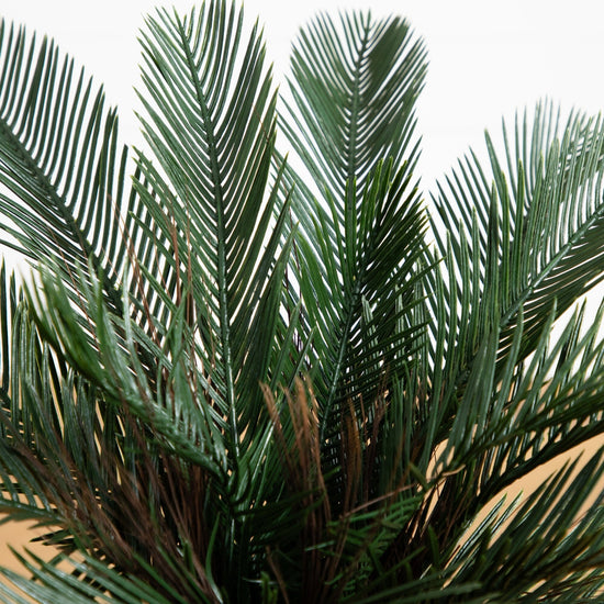 2’ Cycas Artificial Tree UV Resistant (Indoor/Outdoor) | Nearly Natural