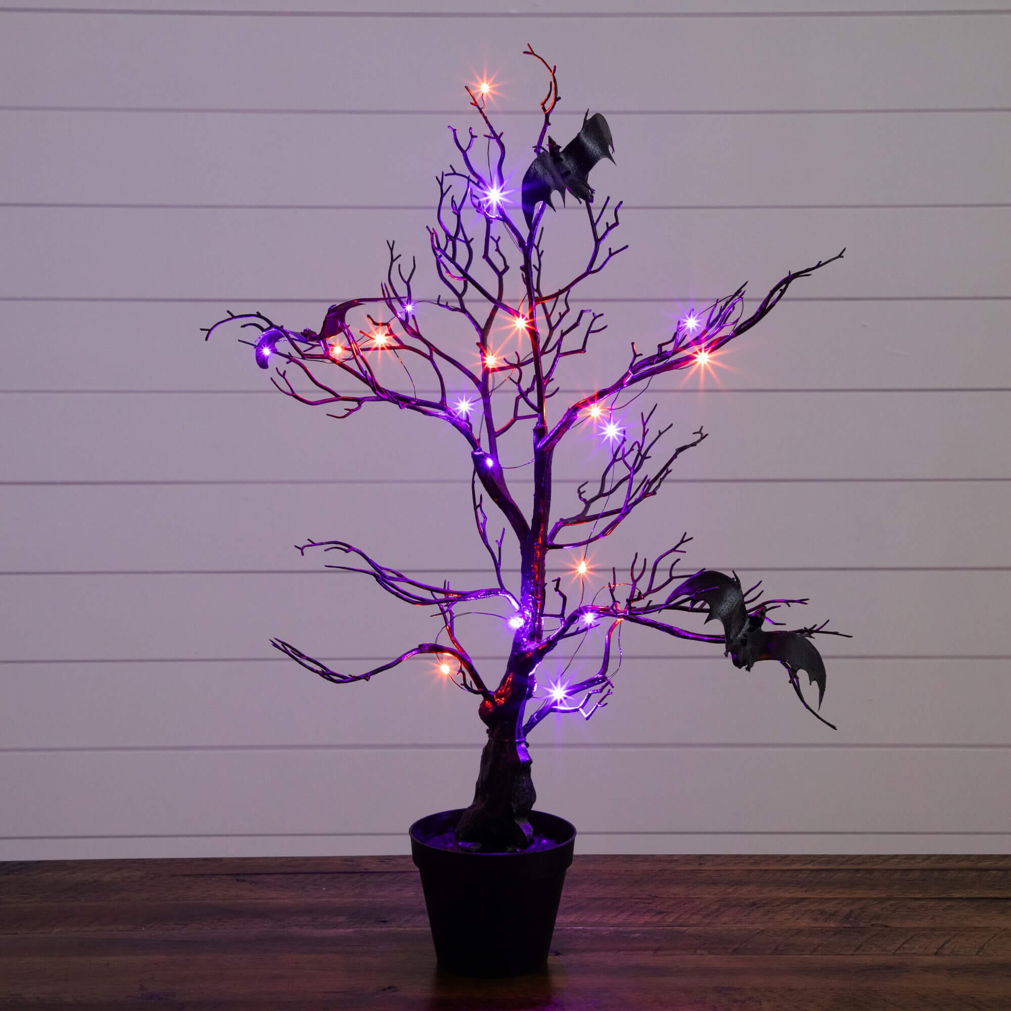 2' Pre-Lit Artificial Halloween Black Spooky Twig Tree with Bats and 4 ...