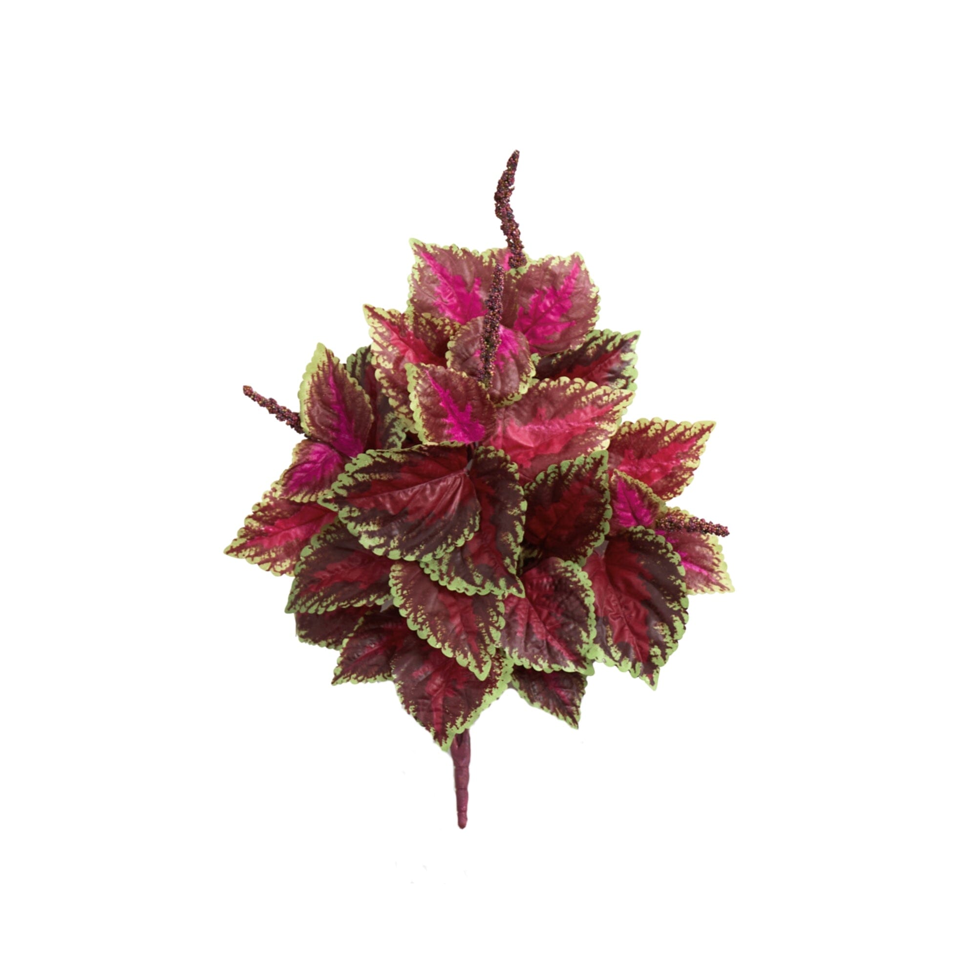 23” Coleus Bush Artificial Plant (Set of 6) | Nearly Natural