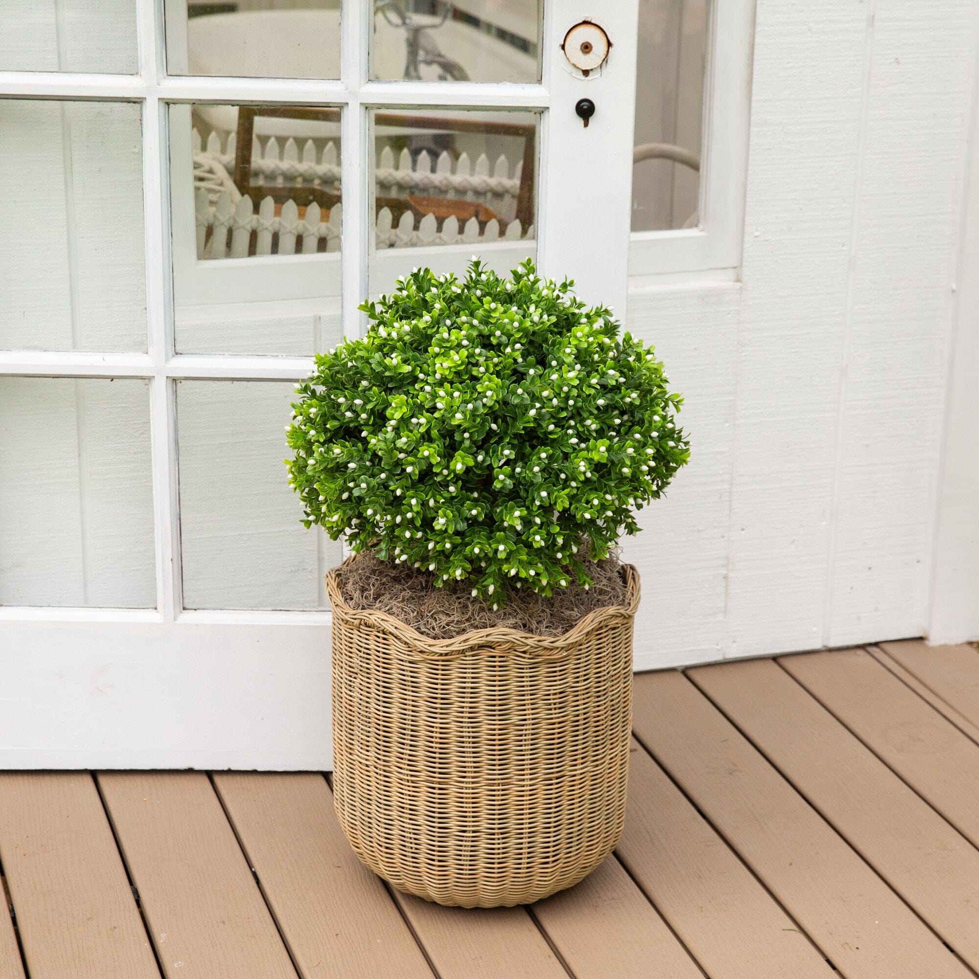 23" UV Resistant Artificial Flowering Boxwood Topiary with Integrated ...