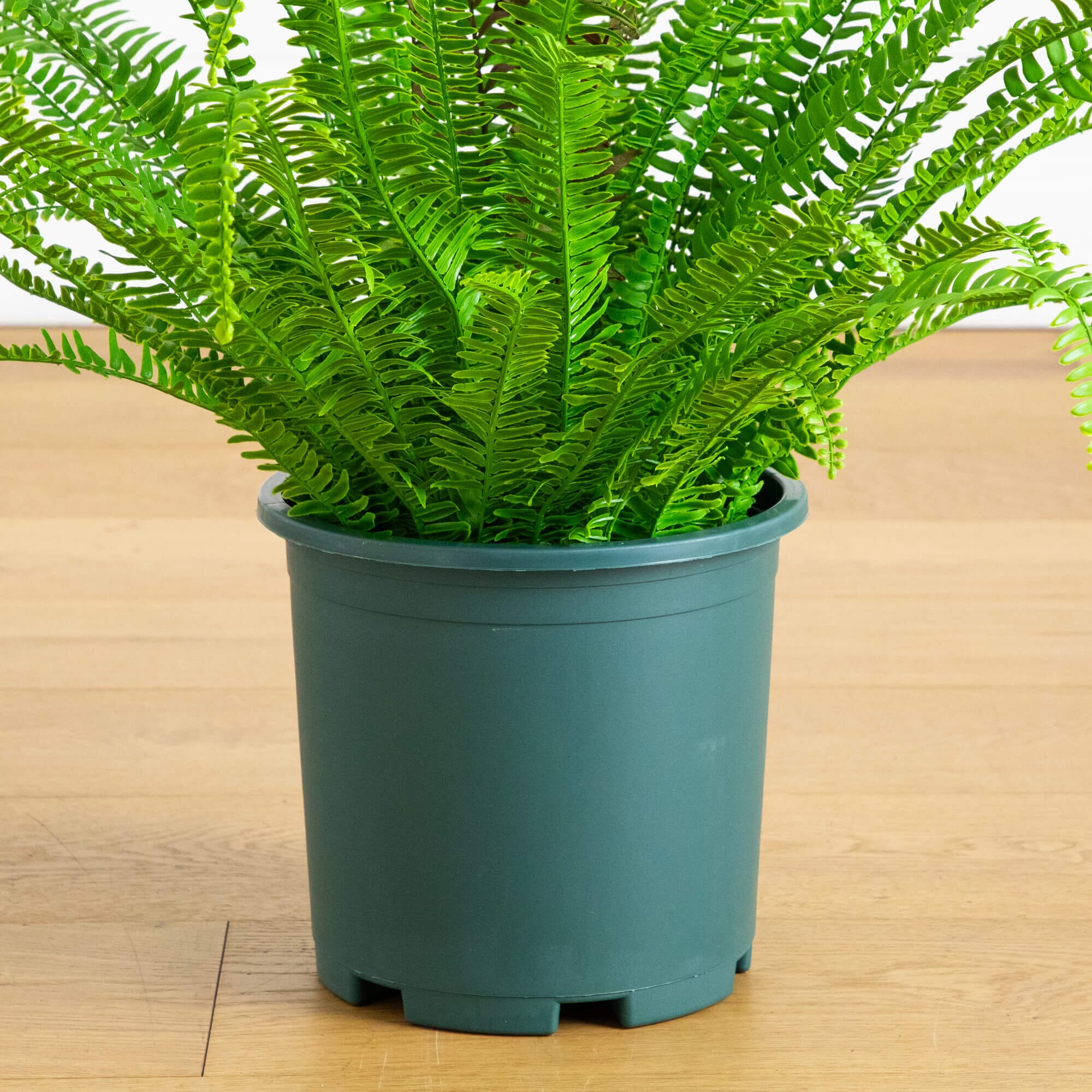 27-in UV Resistant Artificial Real Touch Boston Fern Plant (Indoor/Out ...
