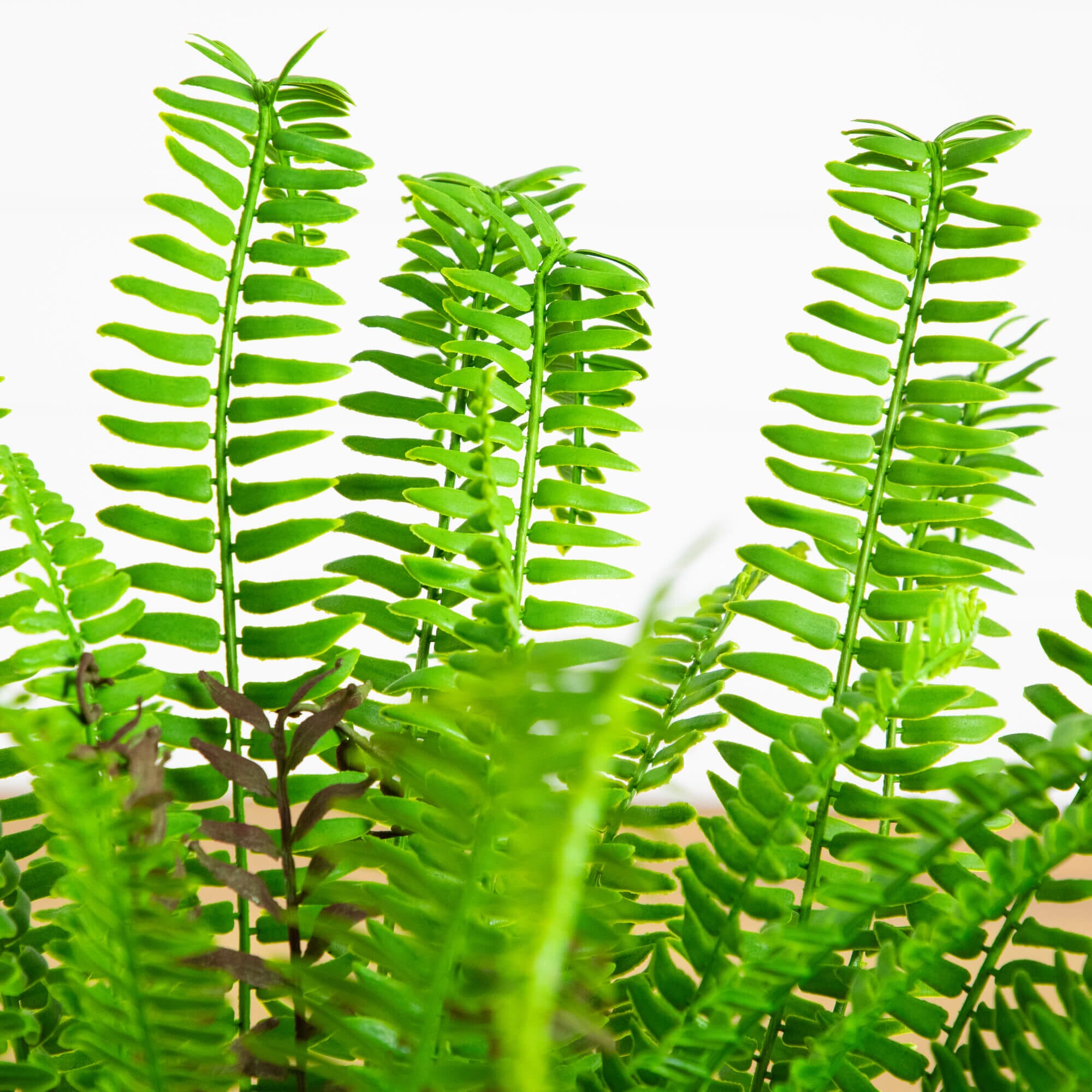 27-in UV Resistant Artificial Real Touch Boston Fern Plant (Indoor/Out ...