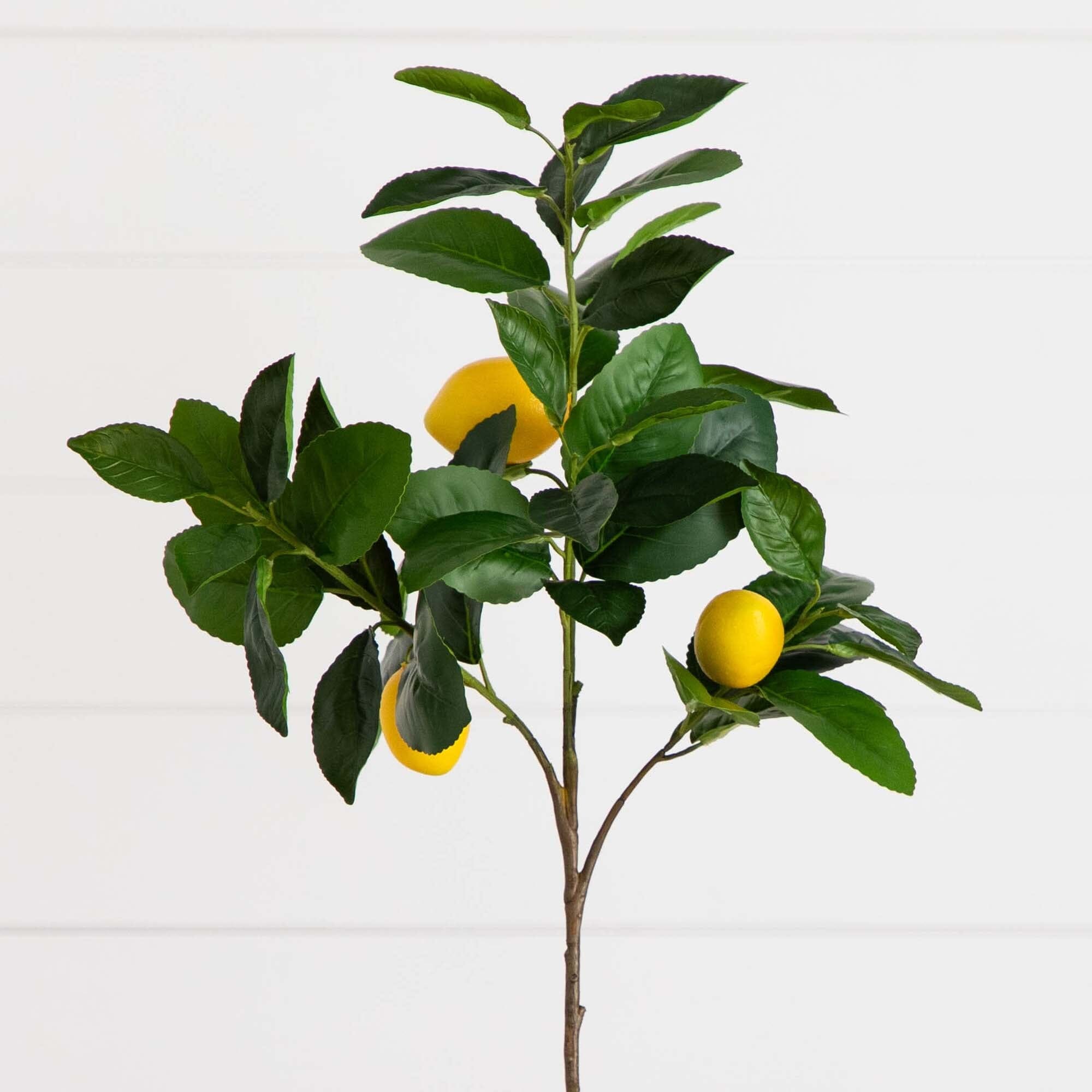 28" Artificial Lemon Stems - Set of 3 | Nearly Natural