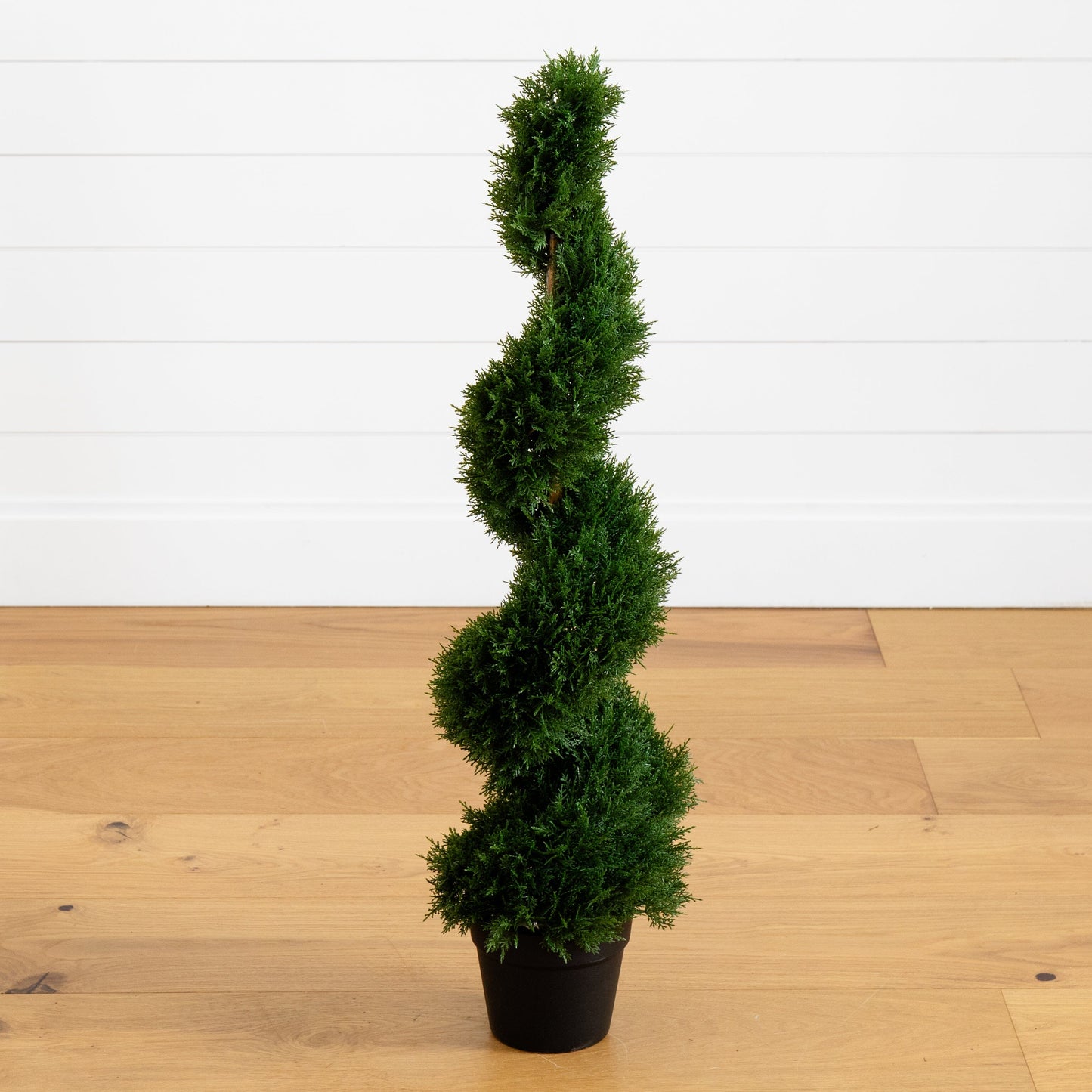 3' Cedar Spiral Silk Tree (In-door/Out-door) | Nearly Natural