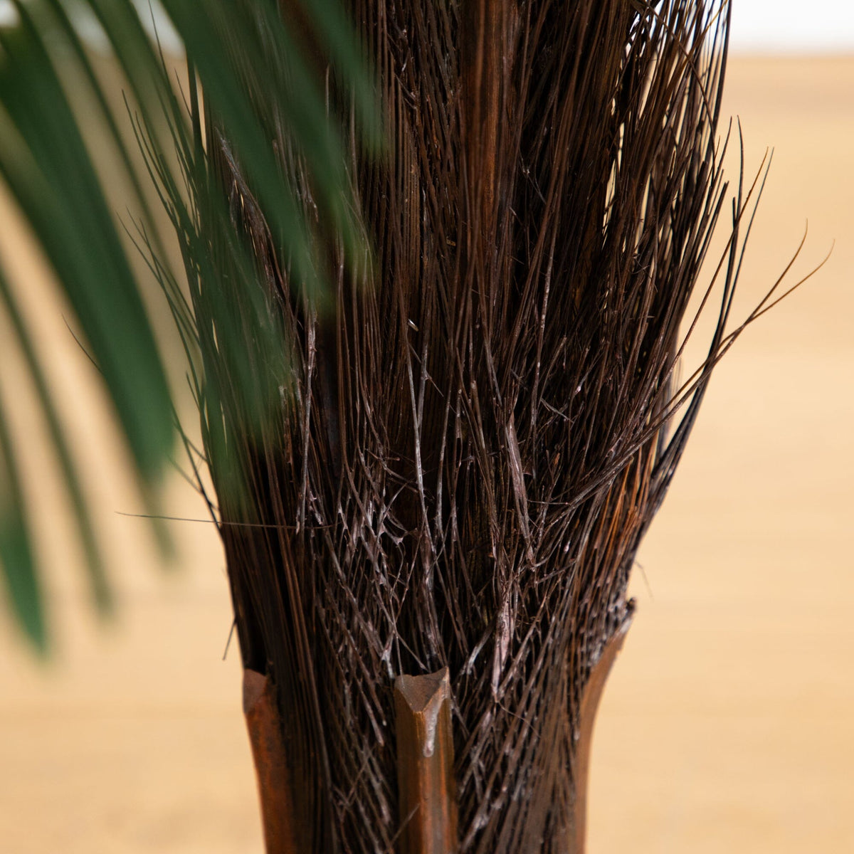 Outdoor Artificial Palm Trees | Nearly Natural