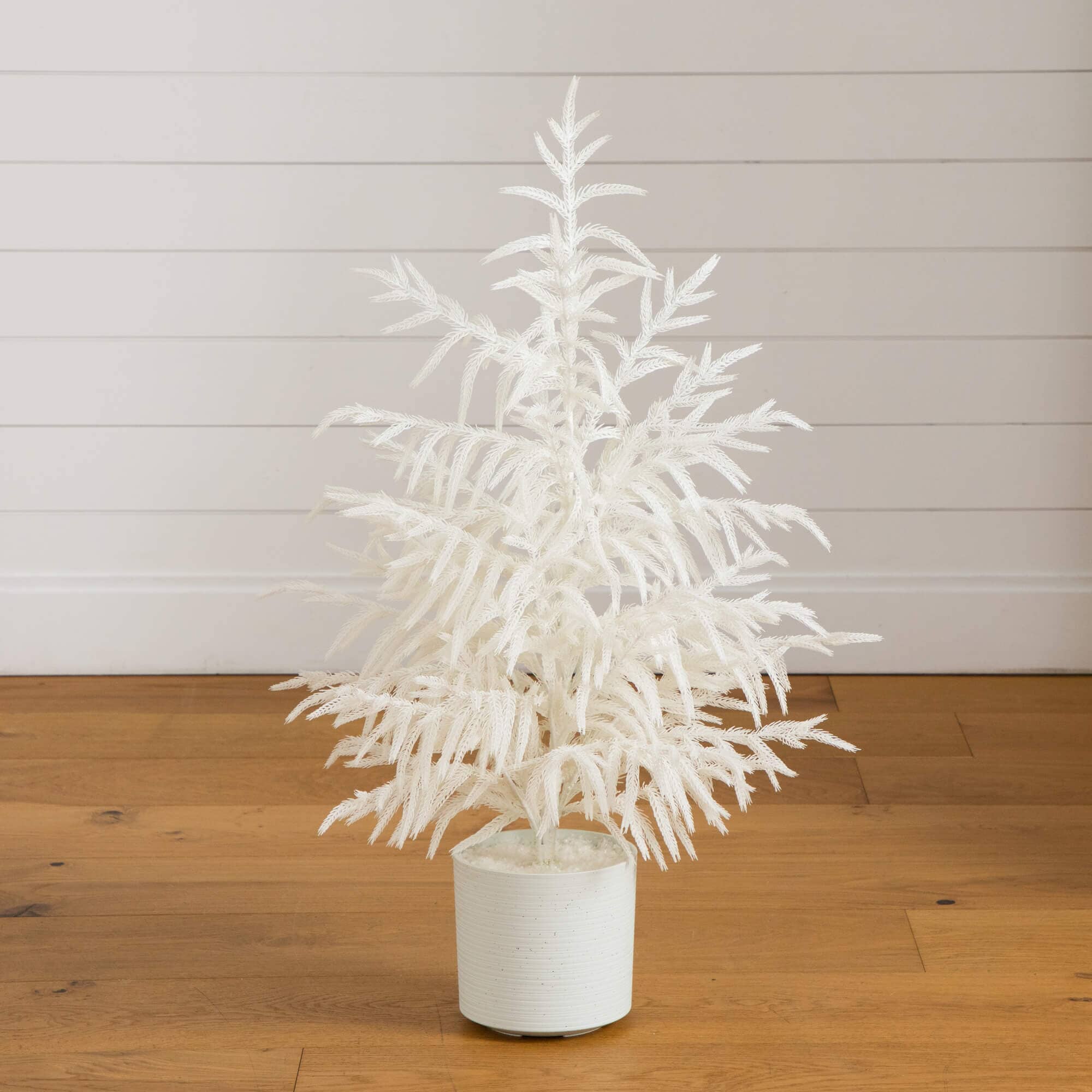 3' Artificial Real Touch White Norfolk Island Pine Christmas Tree with ...