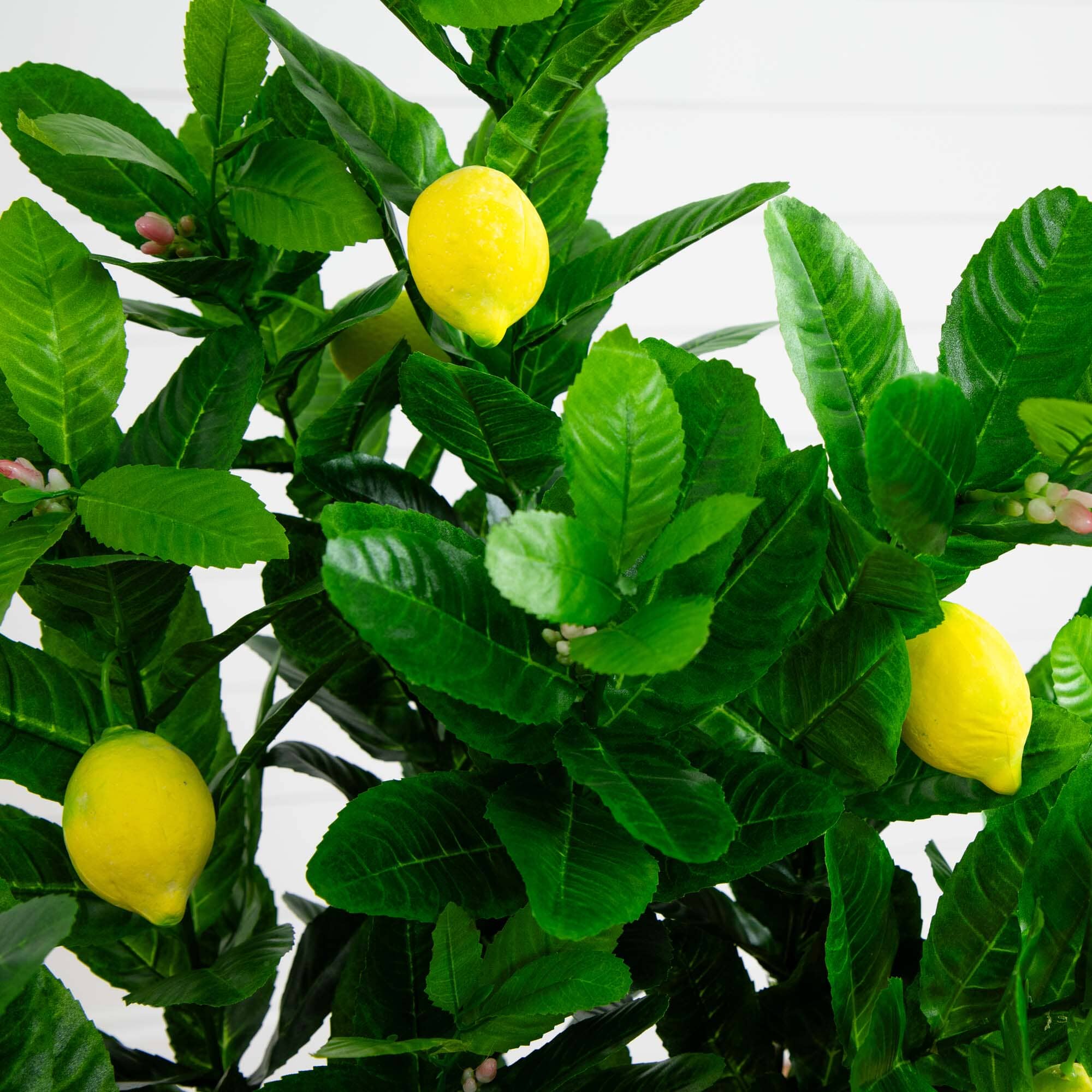 3’ Lemon Artificial Tree | Nearly Natural