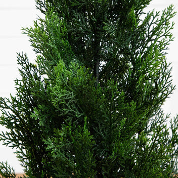 3’ Mini Cedar Pine Tree (Indoor/Outdoor) | Nearly Natural