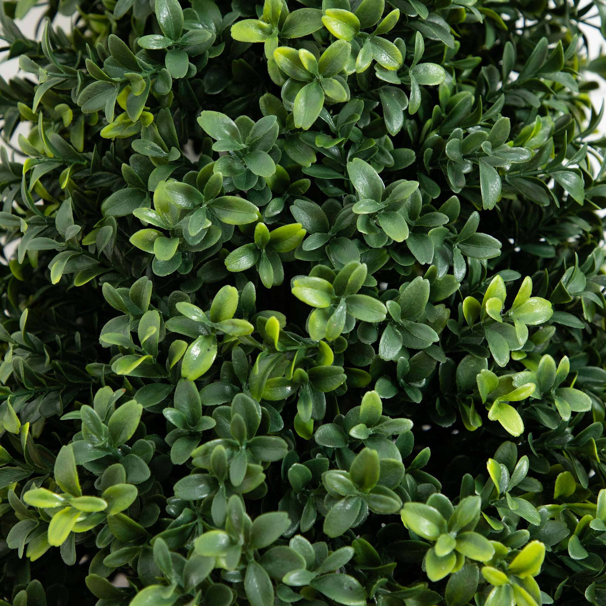 Outdoor Safe Boxwood Plants & Trees – Nearly Natural