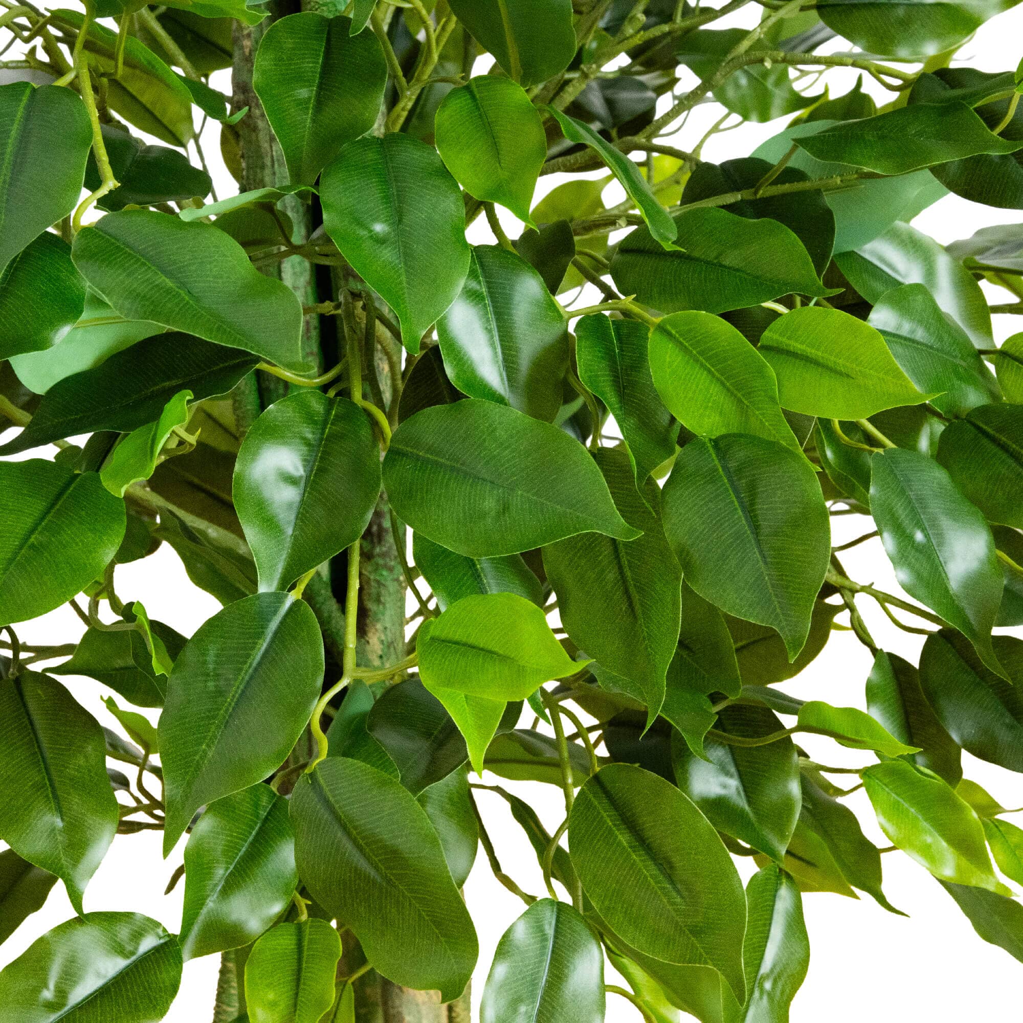 3.5' UV Resistant Artificial Ficus Tree (Indoor/Outdoor) – Nearly Natural