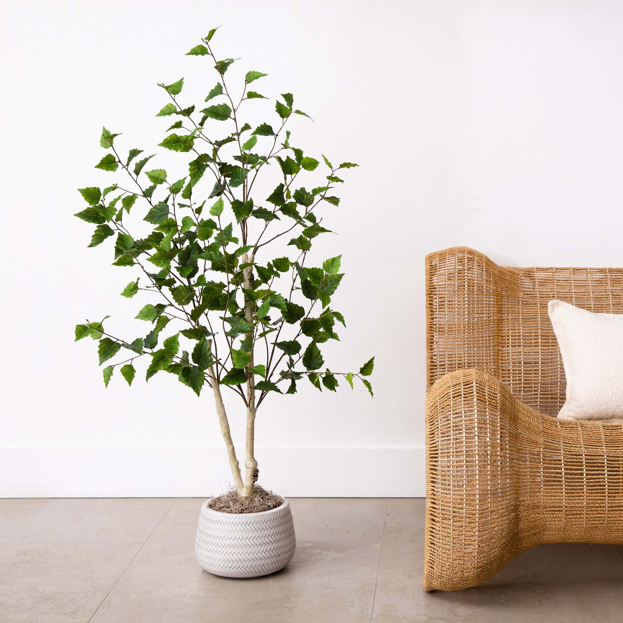 4’ Artificial Birch Tree | Nearly Natural