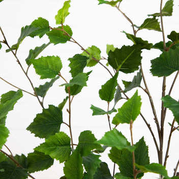 Artificial Birch Trees | Faux Birch Trees – Nearly Natural