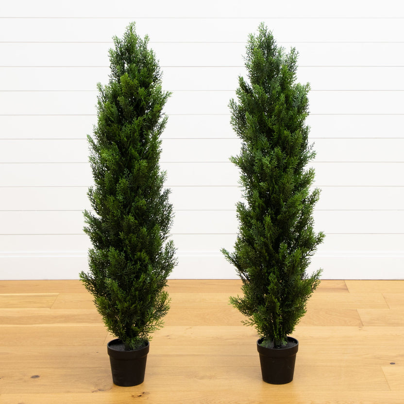 Cedar Trees – Nearly Natural
