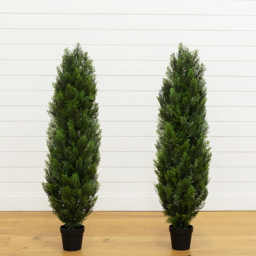 Cedar Trees – Nearly Natural