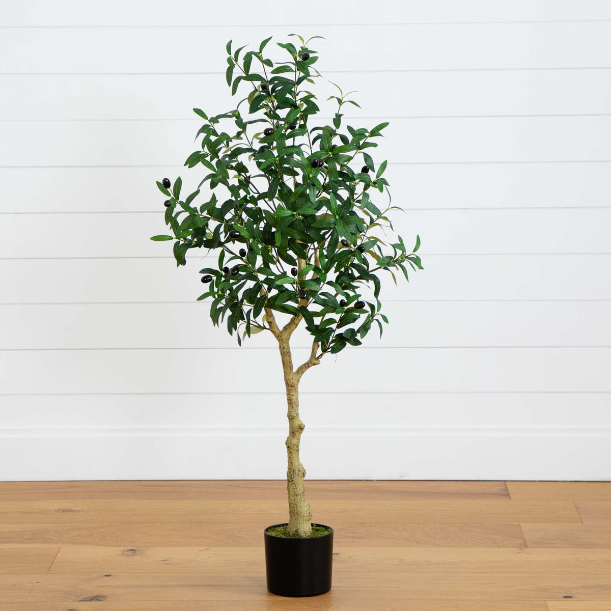 Faux Olive Tree Family | Fake Olive Tree Collection | Nearly Natural