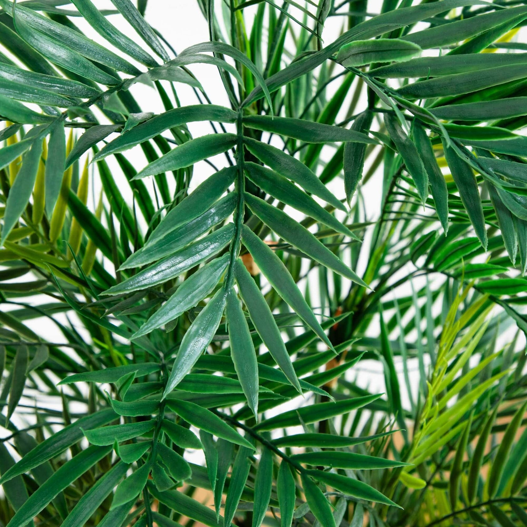 4' Plastic Parlour Palm Tree | Nearly Natural
