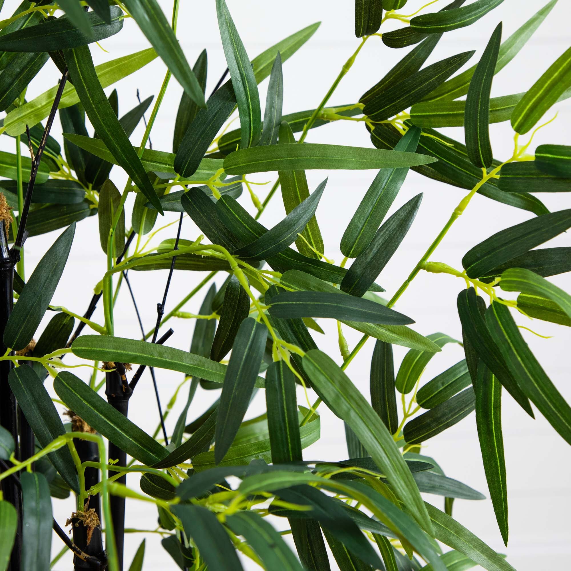 4’ Black Bamboo Tree | Nearly Natural