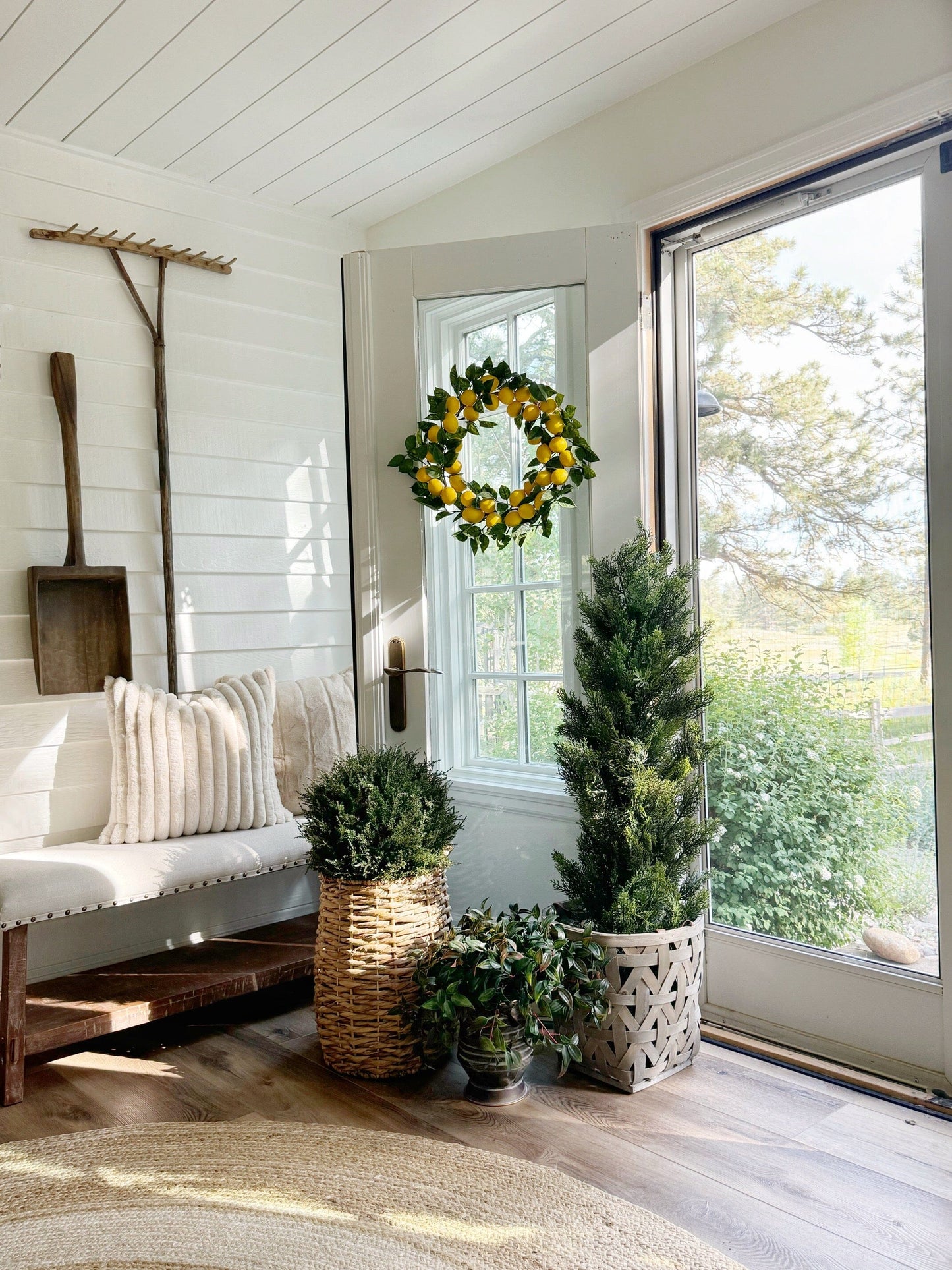 4' Cedar Tree Silk Tree (Indoor/Outdoor) | Nearly Natural