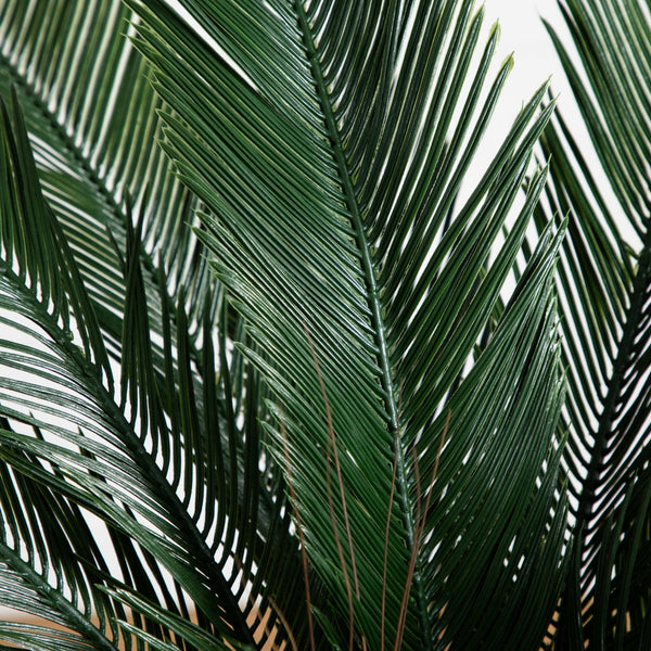 4’ Cycas Tree UV Resistant (Indoor/Outdoor) | Nearly Natural