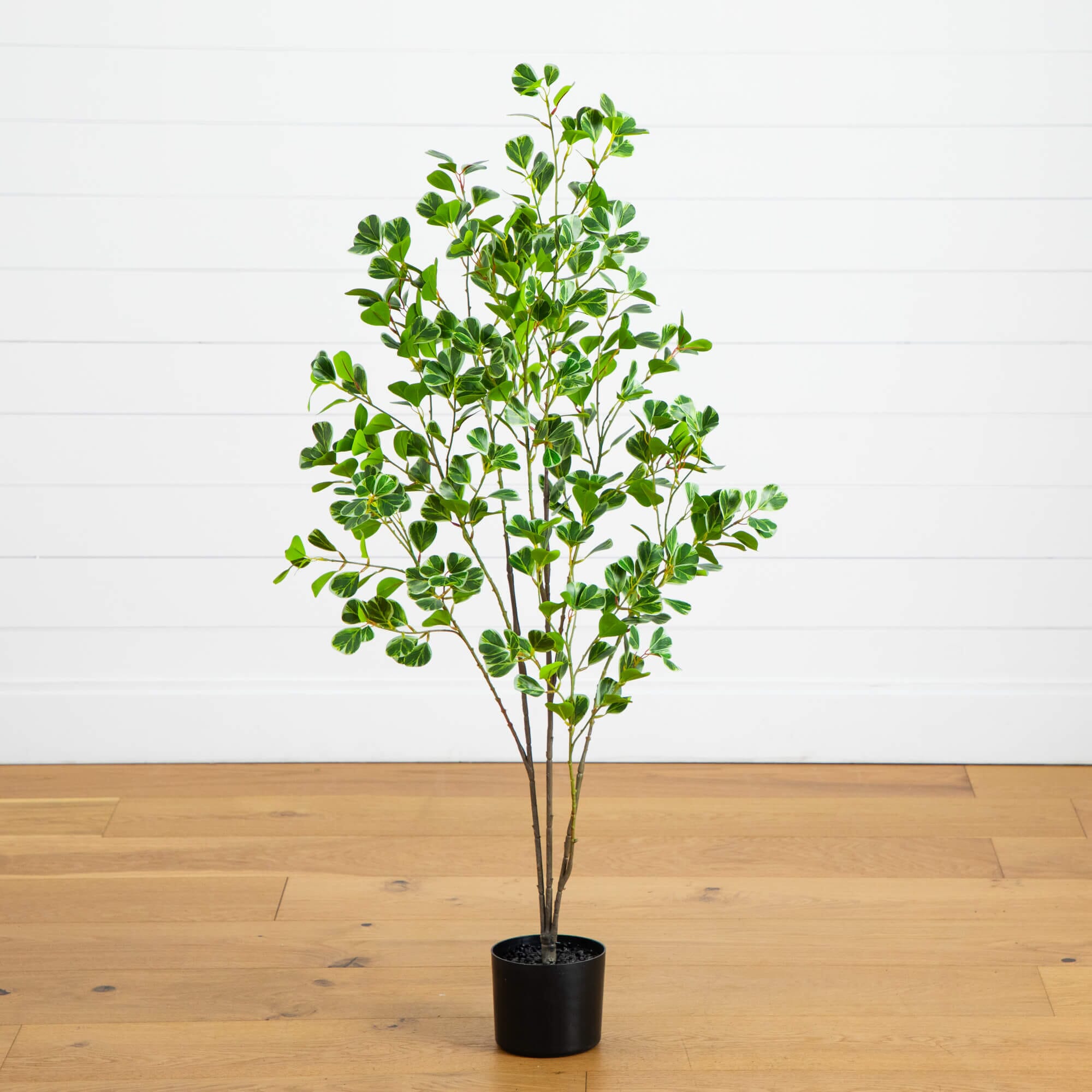 4' Artificial Heart Shaped Ficus Leaf Tree – Nearly Natural