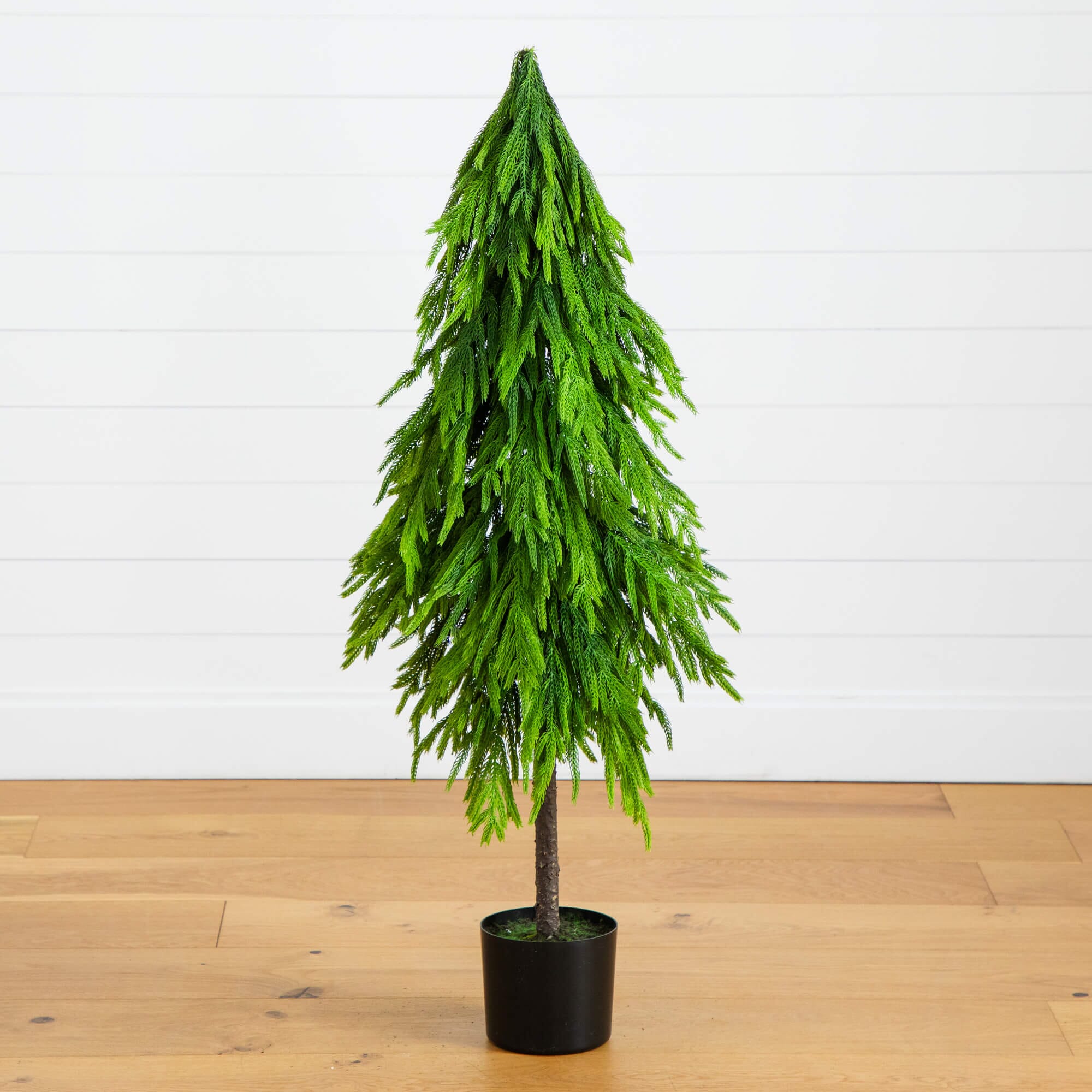 4' Artificial Real Touch Down Swept Norfolk Pine Tree with Natural Loo ...