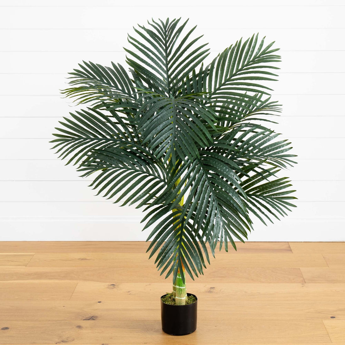 4’ Golden Cane Palm Tree | Nearly Natural