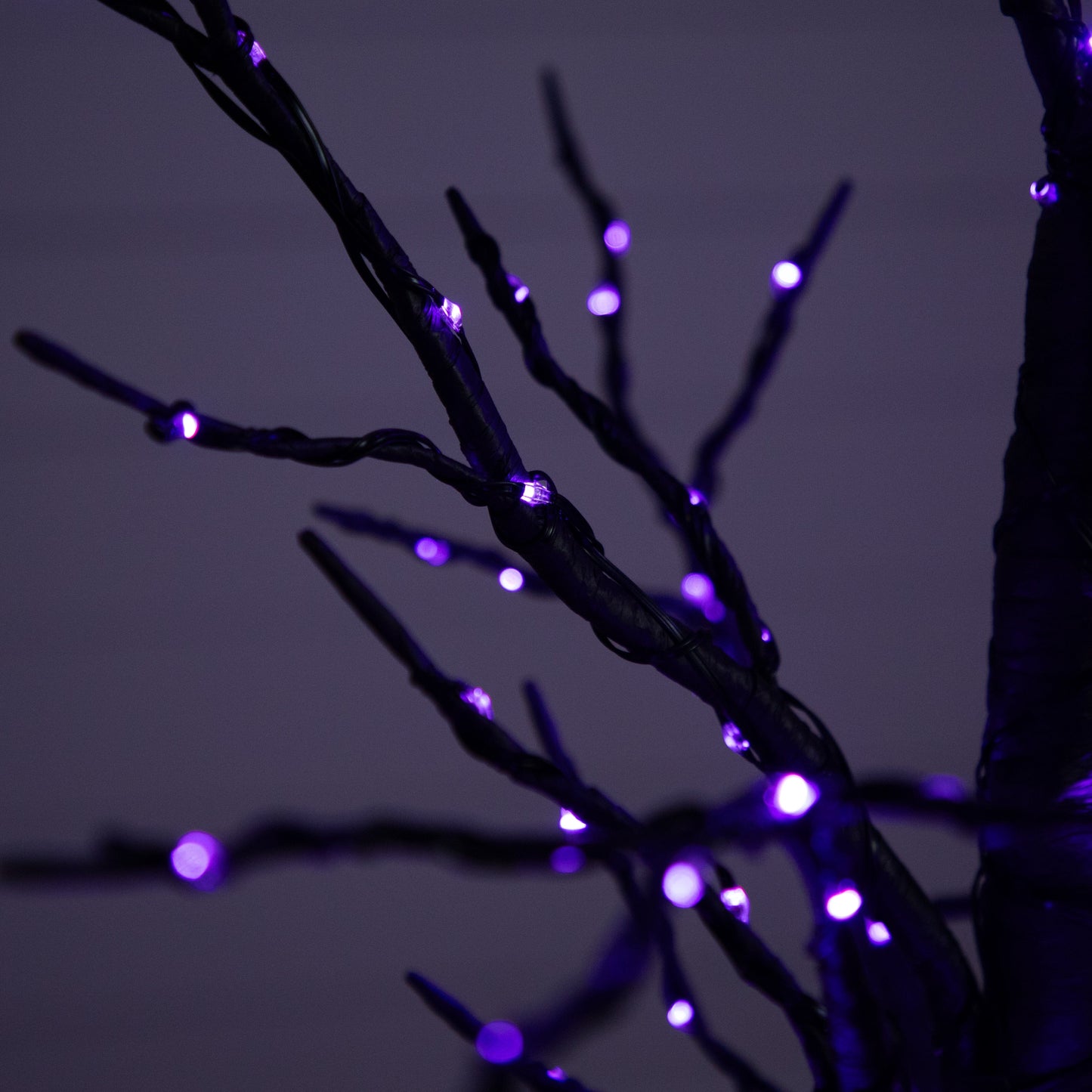 4’ Pre-Lit Halloween Black Twig Artificial Fall Tree with 240 Orange ...
