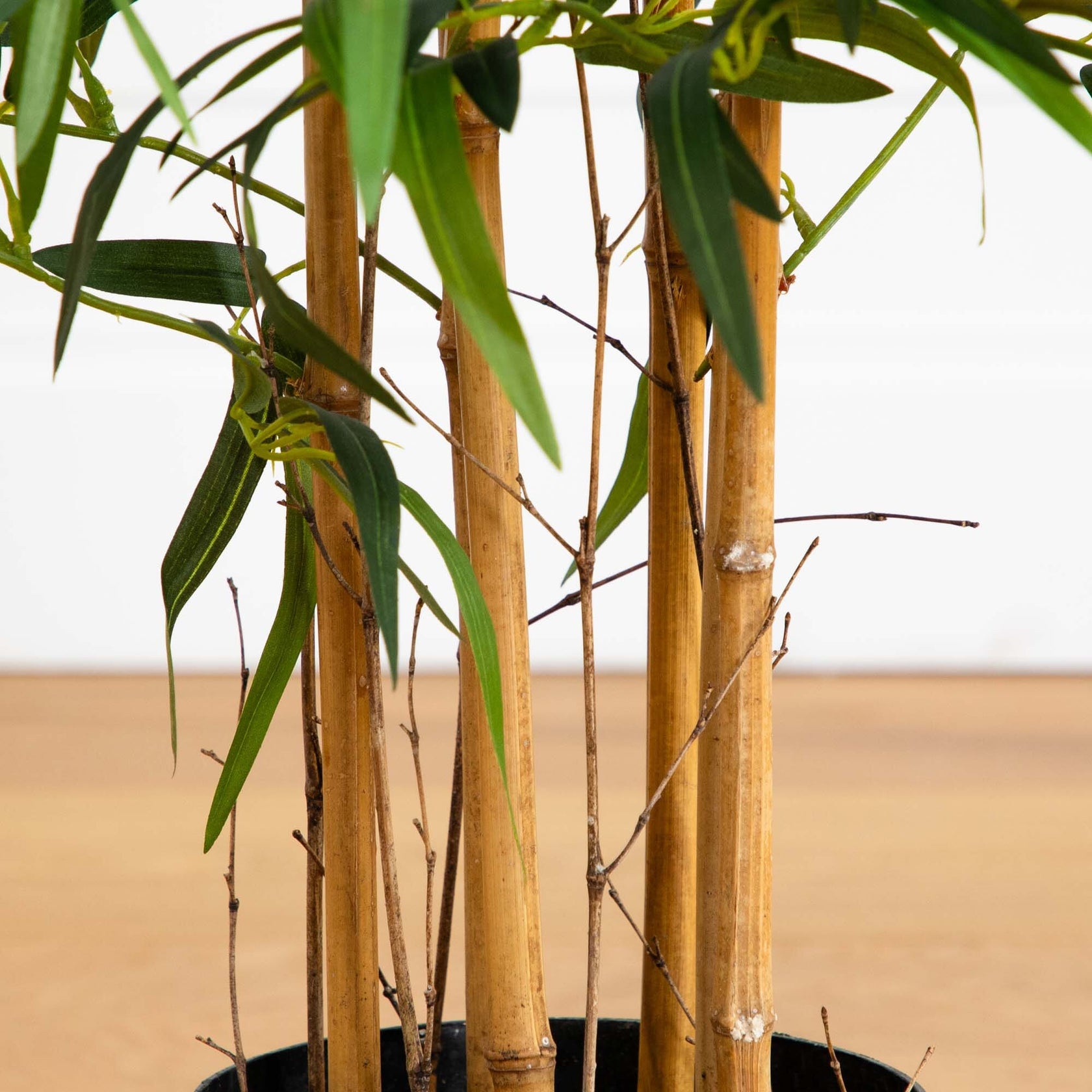 4’ Twiggy Bamboo Tree | Nearly Natural