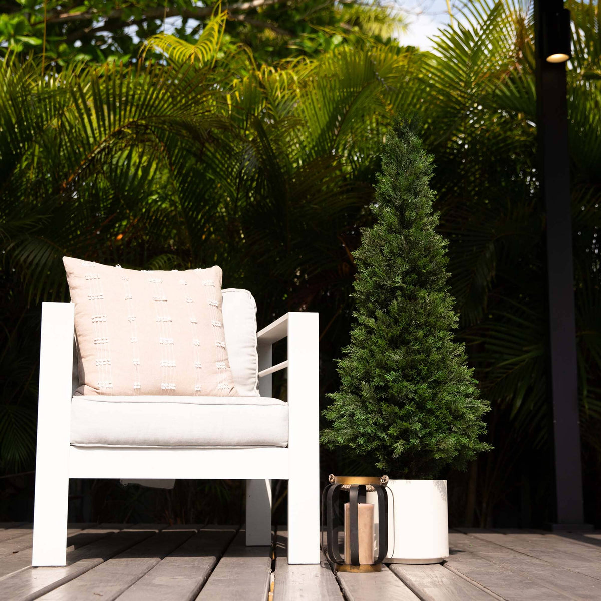 Cedar Trees – Nearly Natural