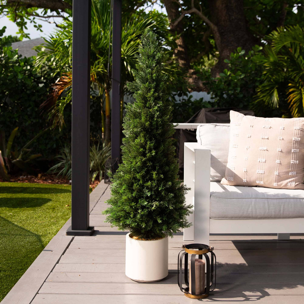 Cedar Trees – Nearly Natural