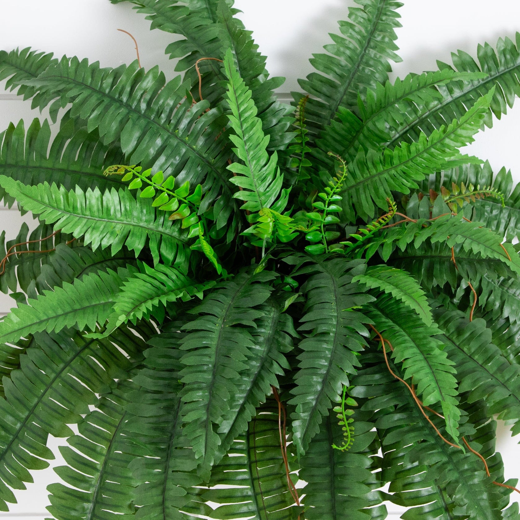 40” Artificial Boston Fern (Set of 2) | Nearly Natural