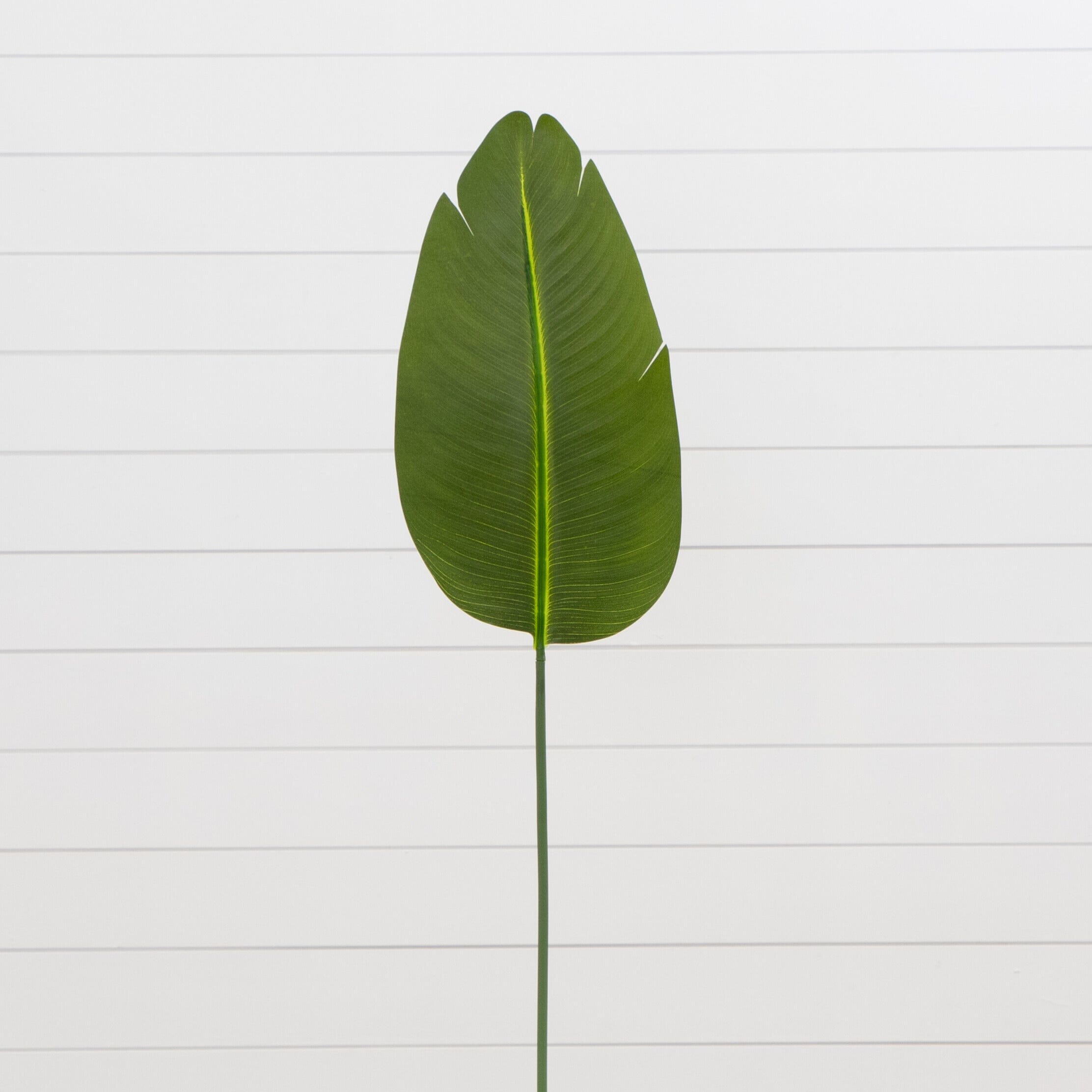 40" Artificial Travelers Palm Stems- Set of 6 – Nearly Natural