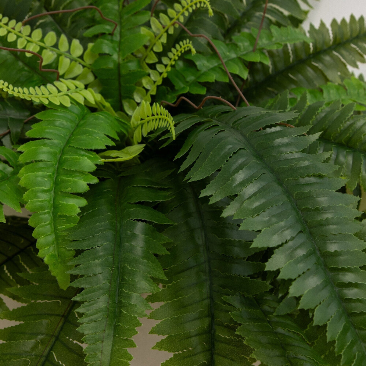Outdoor Safe Ferns – Nearly Natural