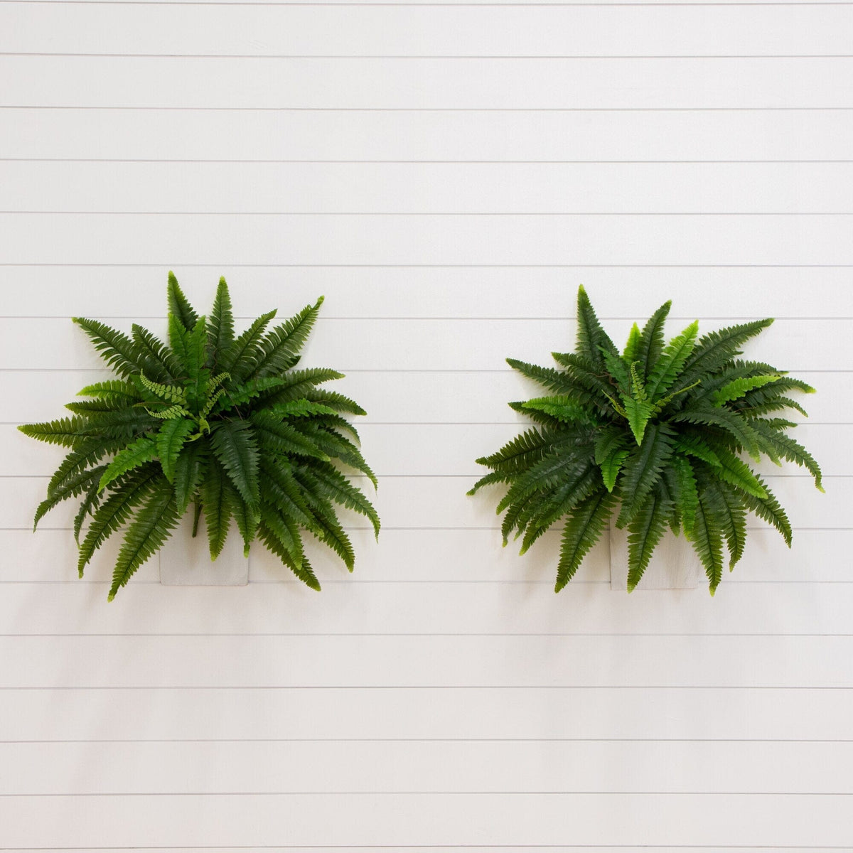 Outdoor Safe Ferns – Nearly Natural